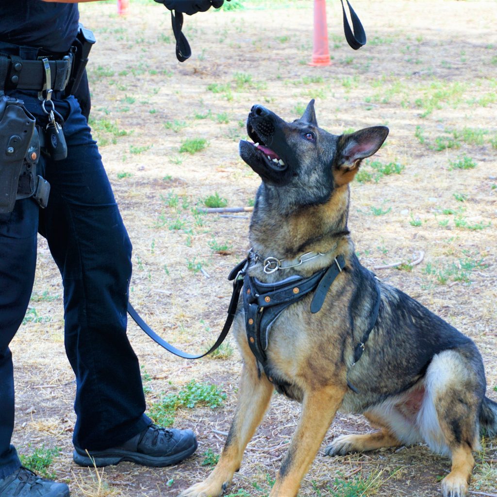 Special Operations | Unified Police Department of Greater Salt Lake