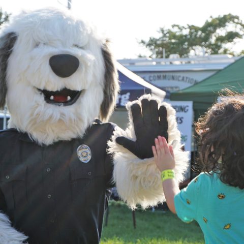 Community Resources | Unified Police Department of Greater Salt Lake