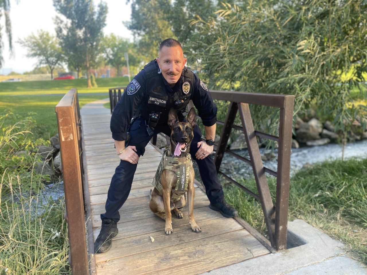 UPD K9 Drago receives donation of body armor | Unified Police ...